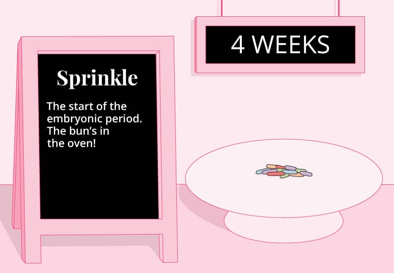 4 Weeks Pregnant Ultrasound, Symptoms and More | Bump Boxes | Bump Boxes